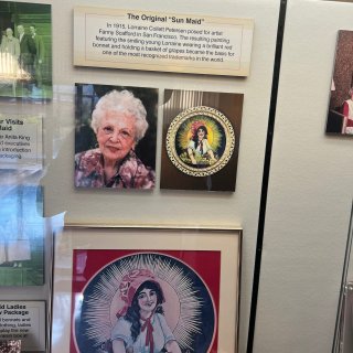 The Viking RV Park - Kingsburg, California - RV LIFE Campground Reviews